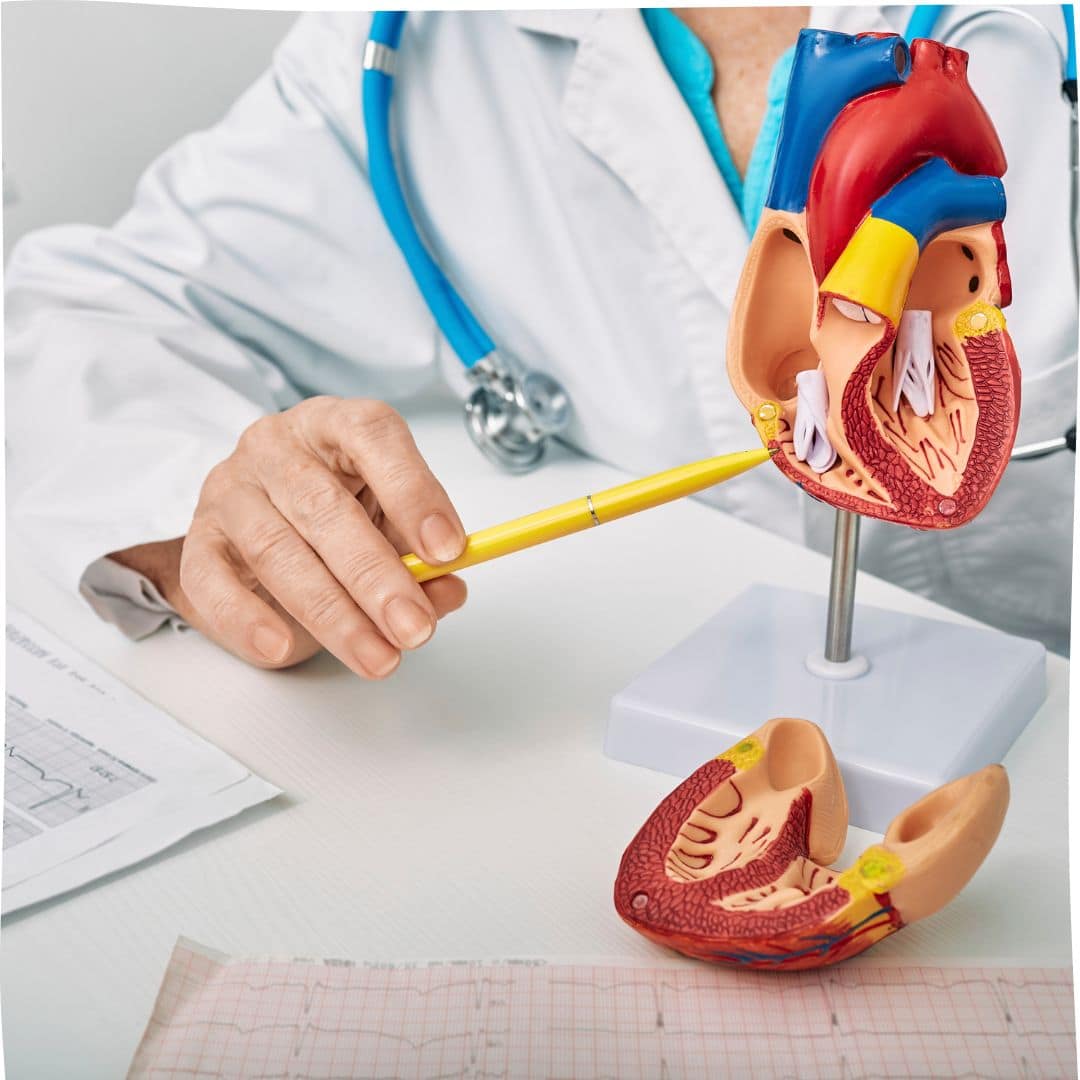 Leading Interventional Cardiologist in Sydney - Cardiac Health Centre